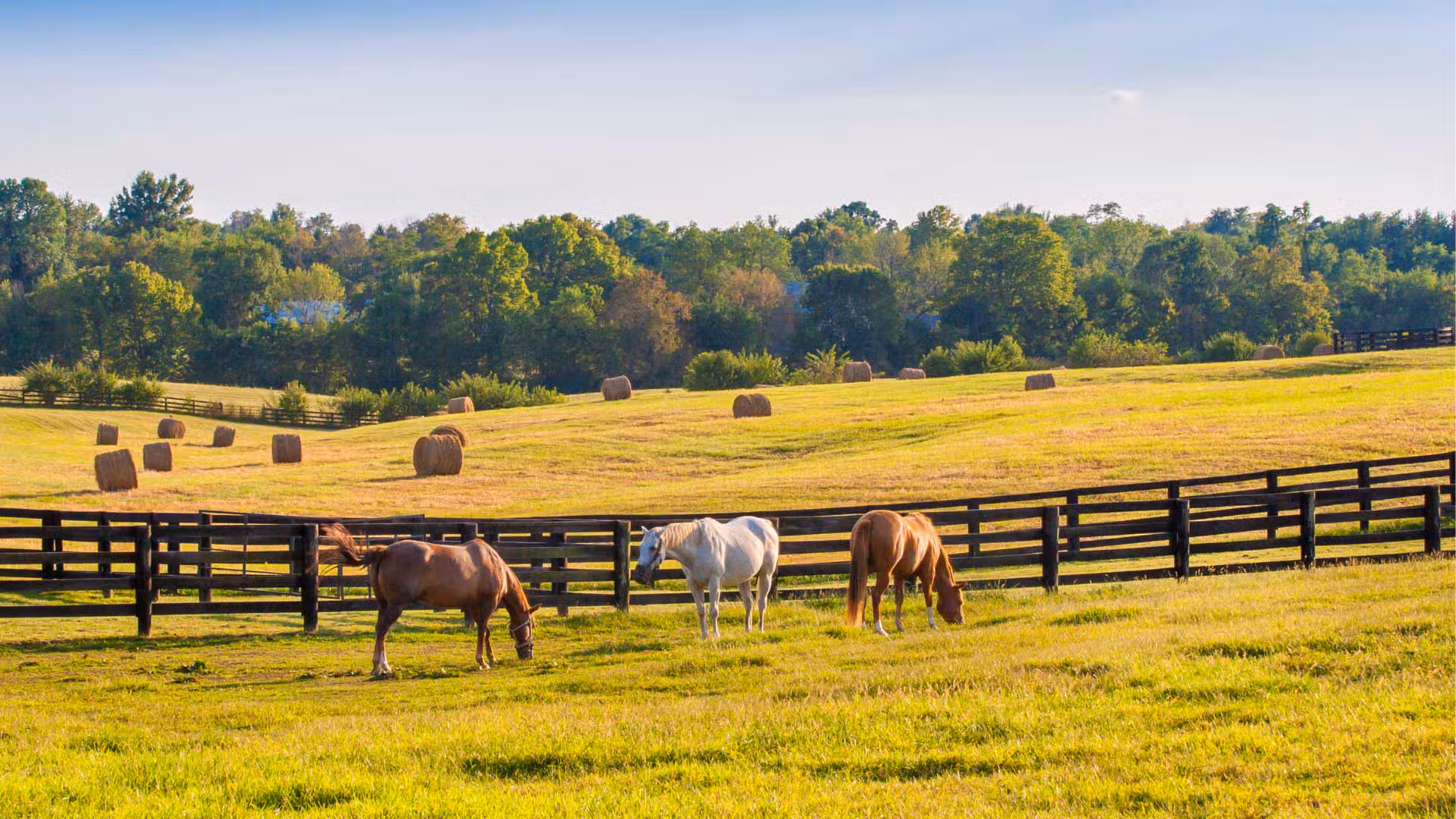 Farms & Production Agriculture - Bilby Law PLLC - (502) 409-1778